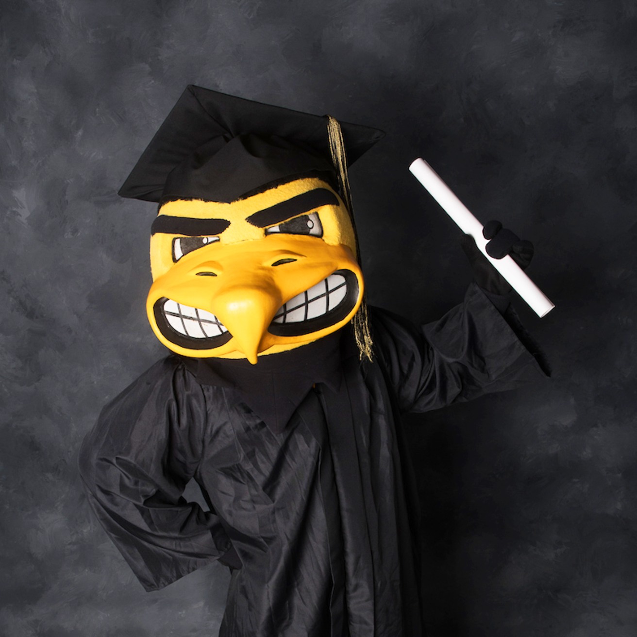 Graduation | Honors Program - The University of Iowa