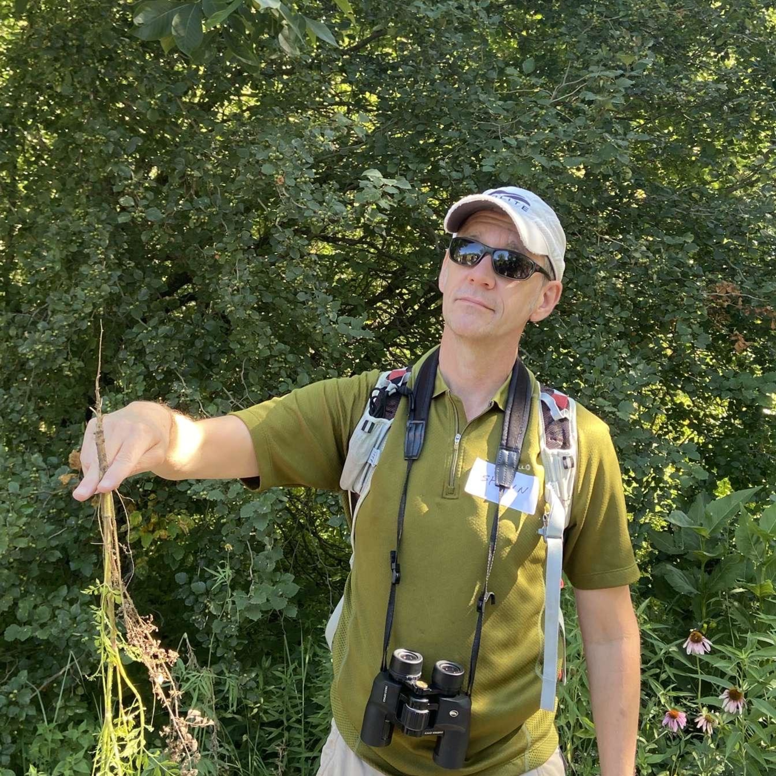 Incoming First-Year Students | Honors Program - The University of Iowa